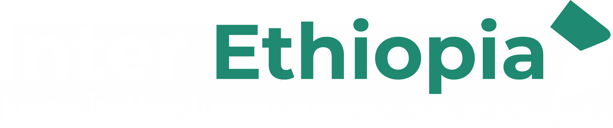 About Us - Inter Ethiopia Solution