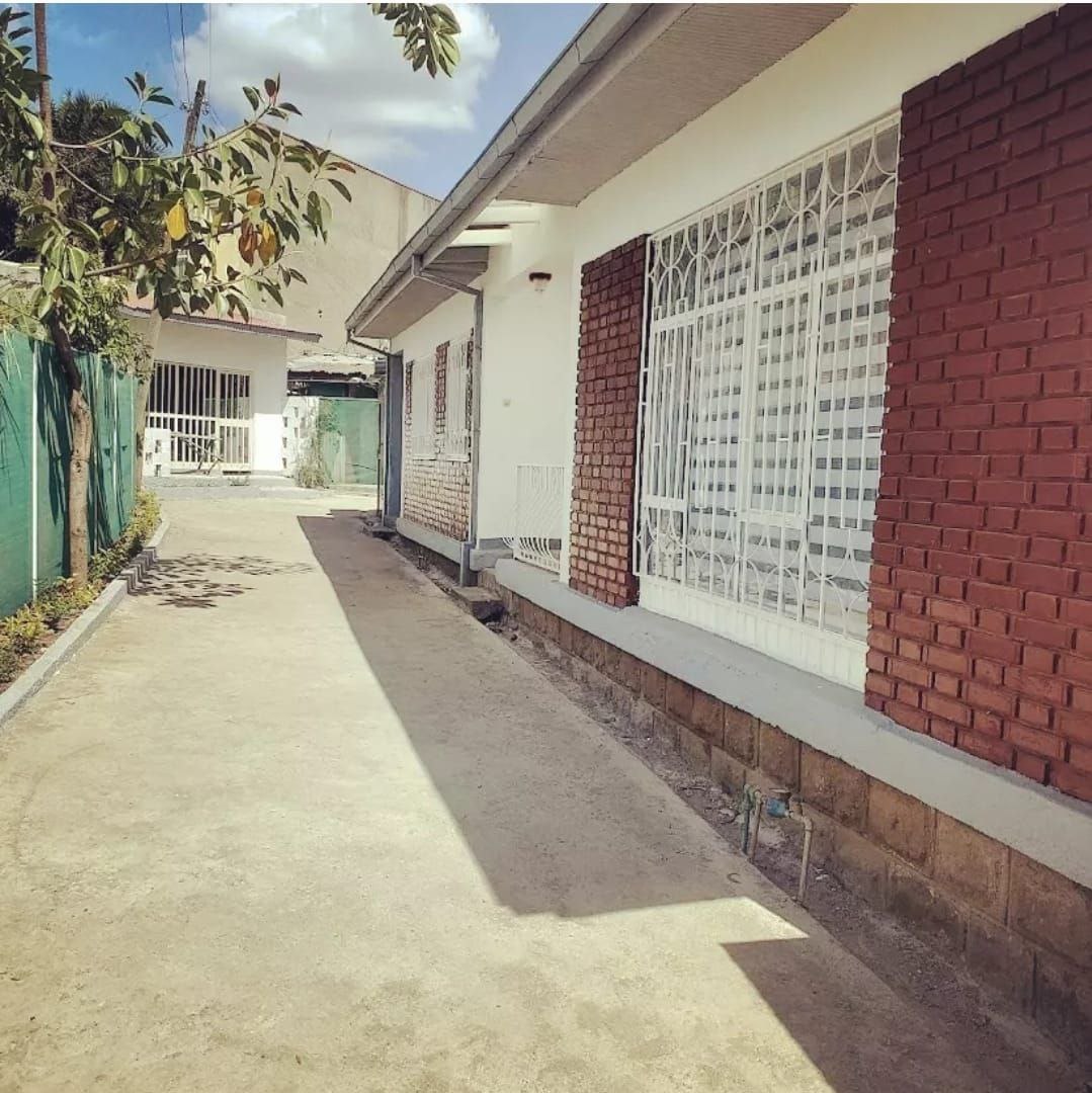 Inter Ethiopia's Startup Establishment into Consultancy Services